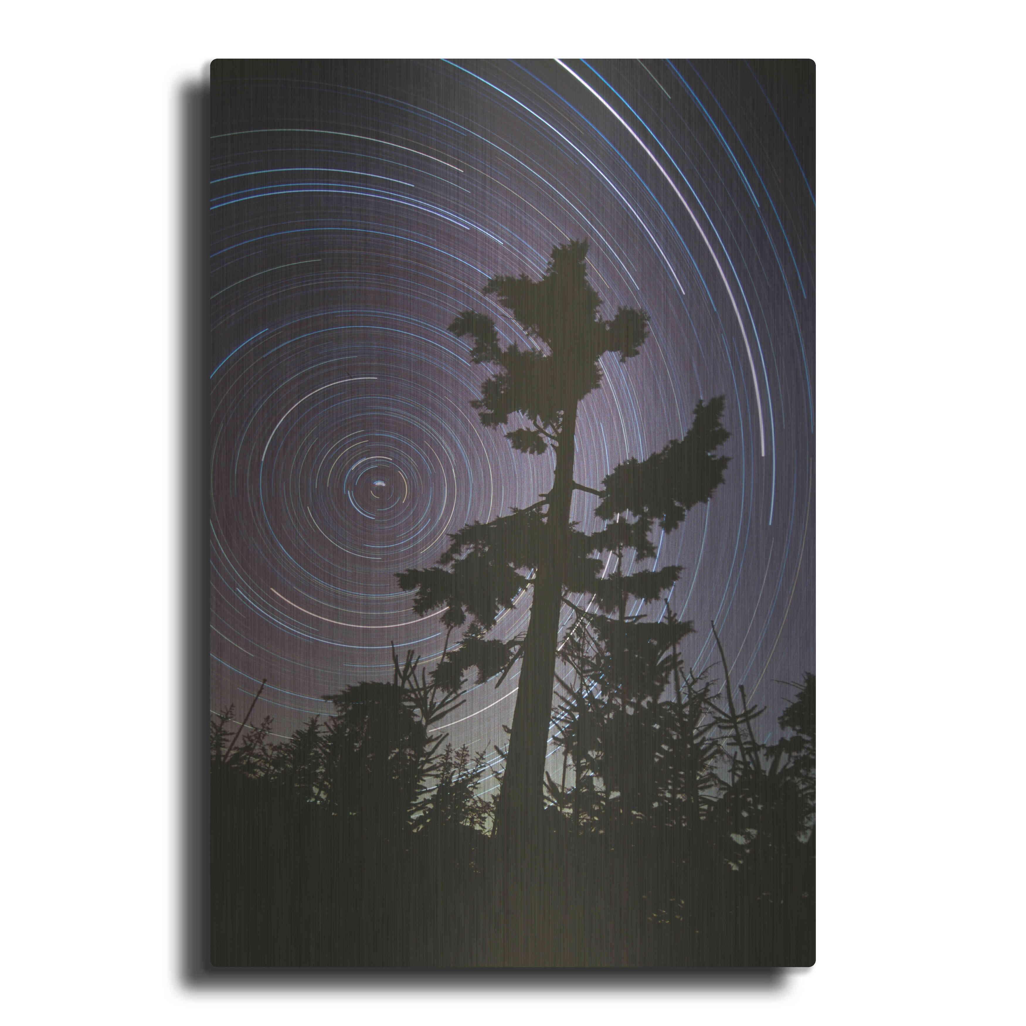 'Polaris Pine' by Thomas Haney, Metal Wall Art – LuxeMetalArt