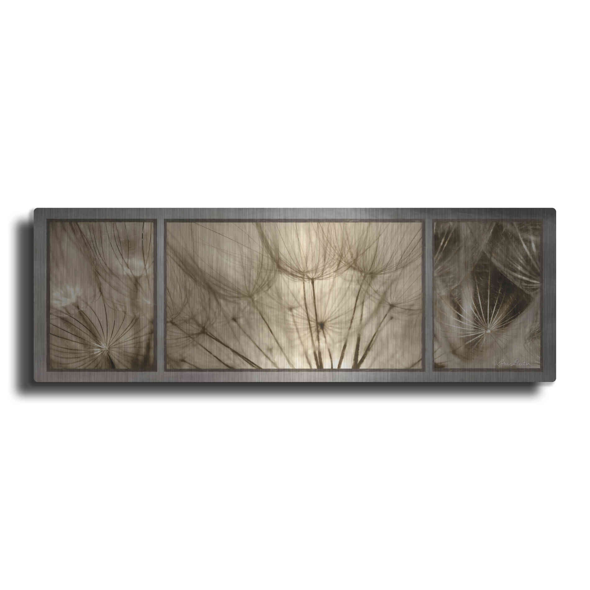 'Goatsbeard Trio' by Lori Deiter, Metal Wall Art – LuxeMetalArt